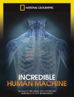 The Incredible Human Journey - Top Documentary Films