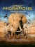 Winged Migration - Top Documentary Films