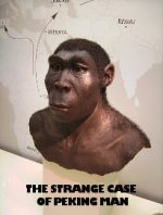 The Ascent of Man - Top Documentary Films