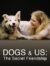 Dogs Decoded - Top Documentary Films