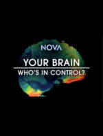 Brain Story - Top Documentary Films